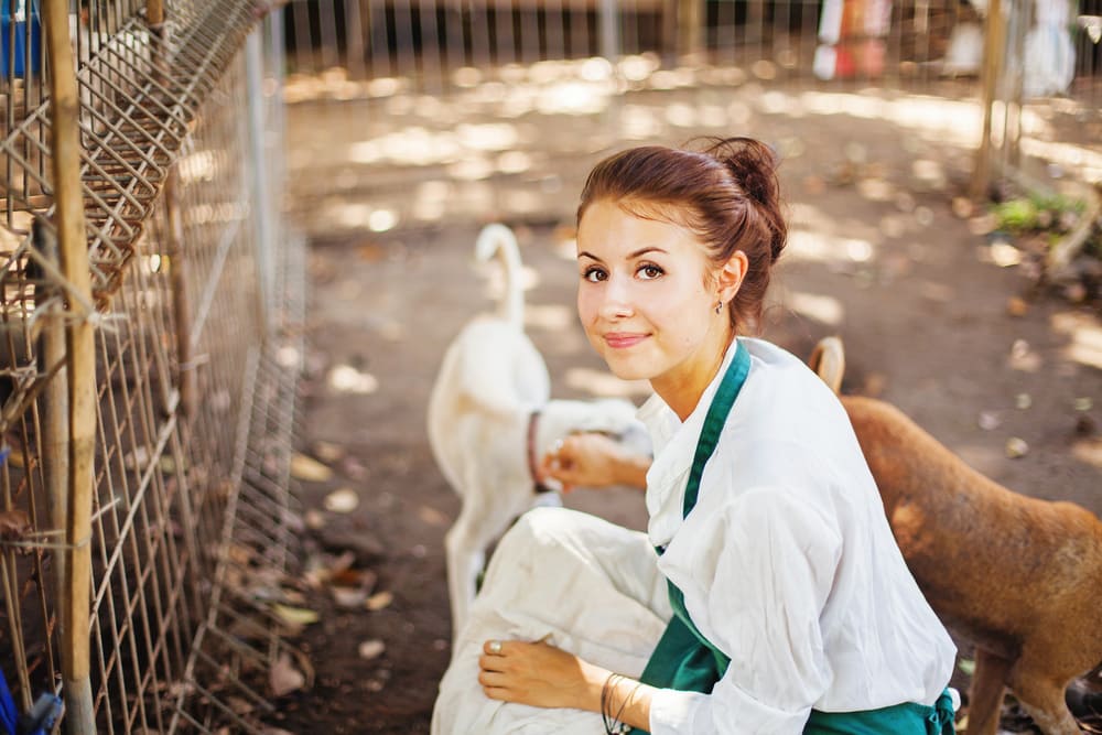 How to Become a Volunteer Animal Sanctuary Worker | CharityJob Blog