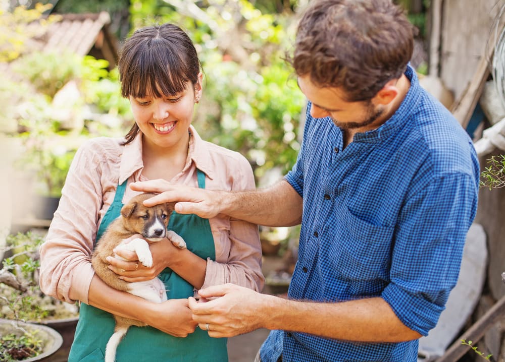 How to Work for an Animal Charity - CharityJob Blog