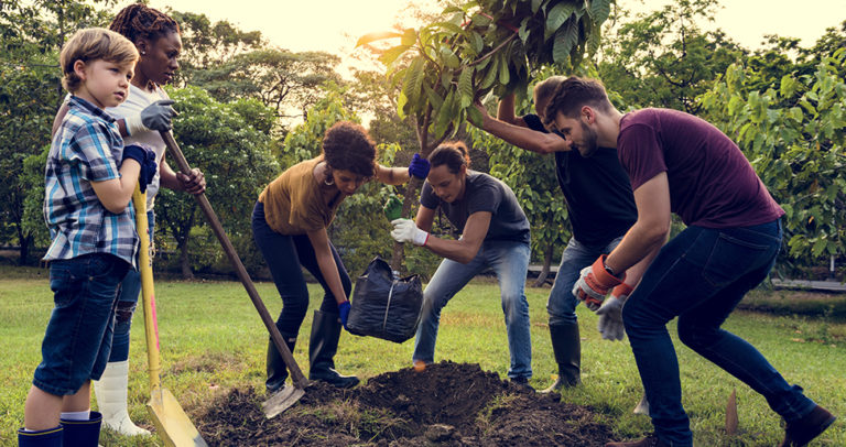 How to Find Volunteer Opportunities that Match Your Interests ...