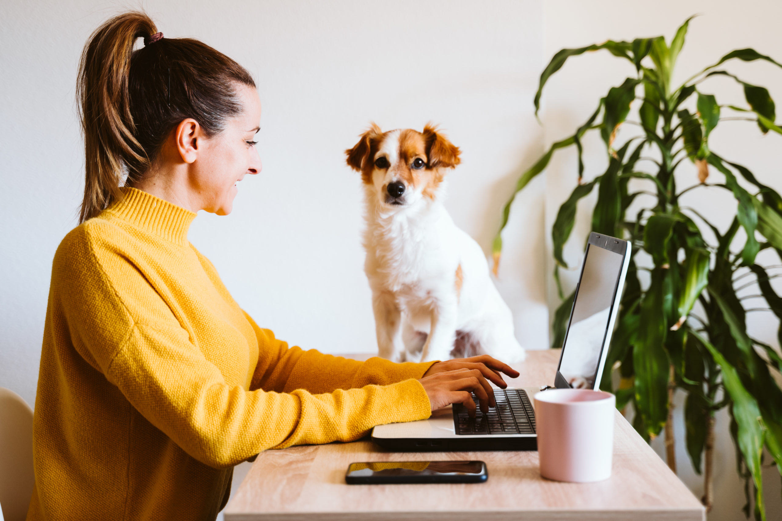 8 Tips For Working From Home in Winter - CharityJob Blog