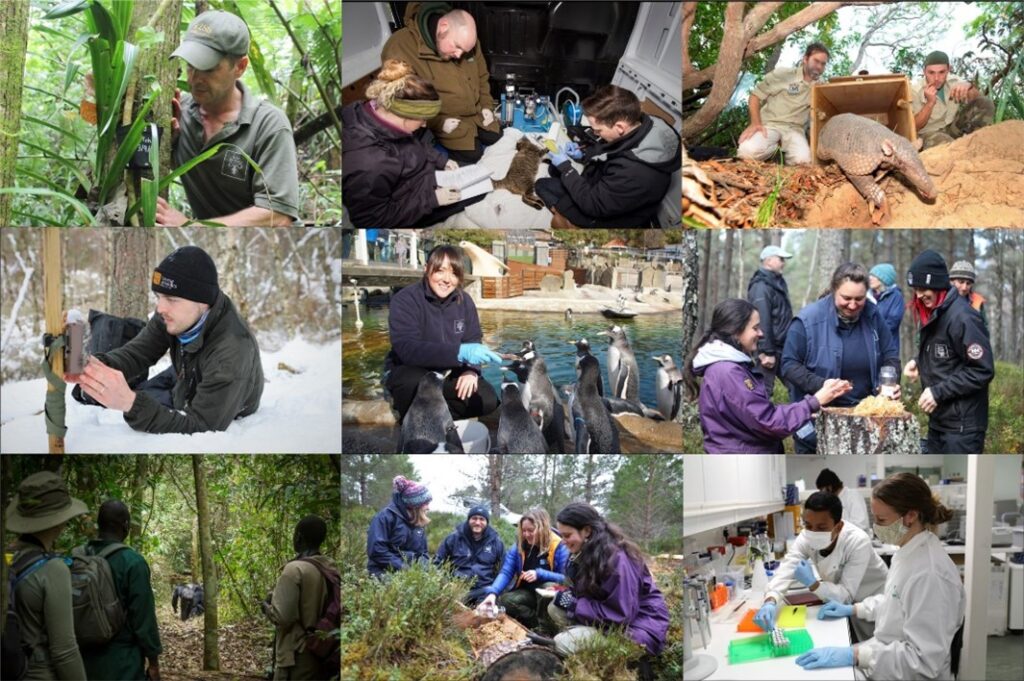 What it's Like Working for a Conservation Charity - CharityJob Blog